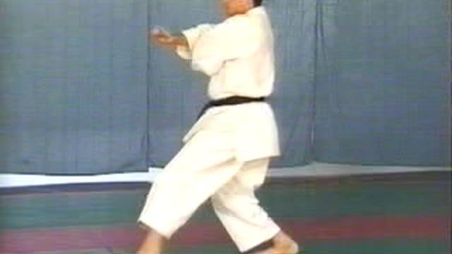 Ката Шотокан - Текки 1-3 и Унсу, Дзитте, Канку шо + бункай от Luca Valdesi