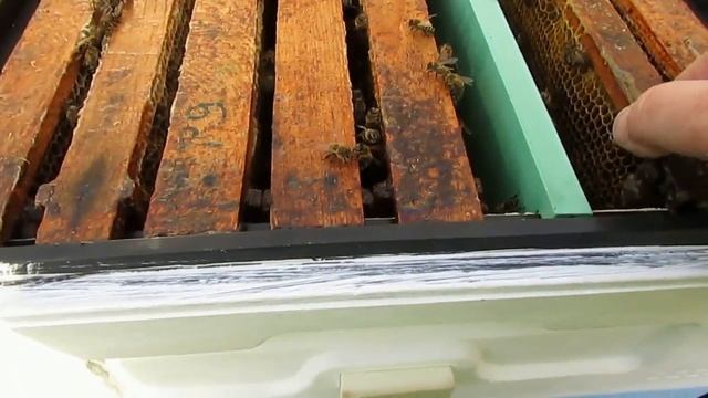 шести рамочная методика содержания пчел в обычном 12 рамочном или 10 рамочном улье