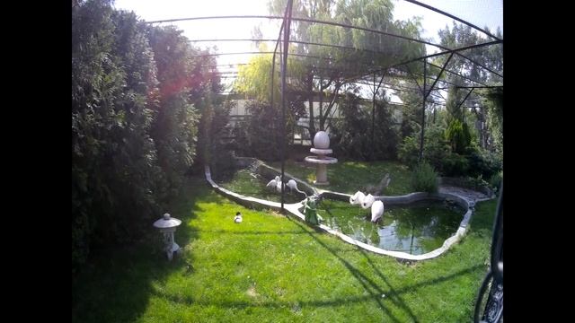 Парк Тайган. Лёвушка.