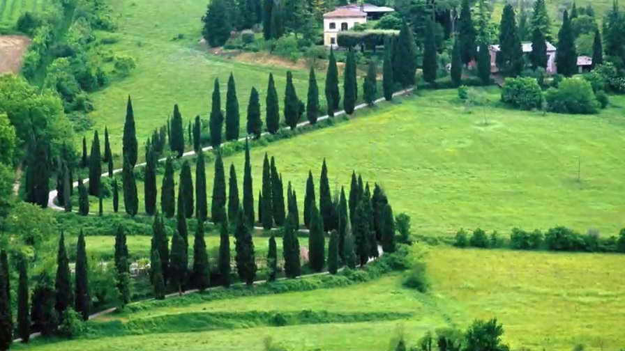 Кипарисовые аллеи в Италии (Italy) : секрет Кьянти (Chianti) Тоскана (Toscana) Италия (Italia)