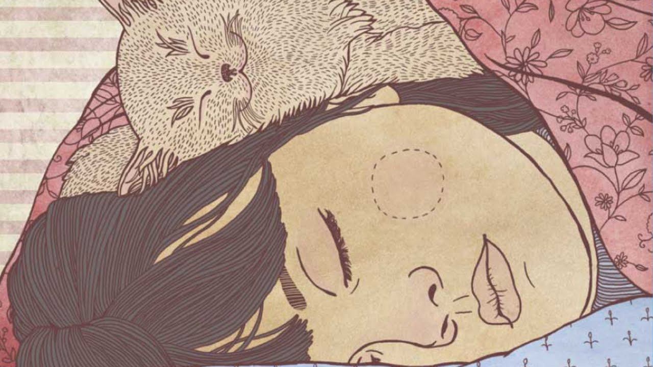 С чего начинается утро в приюте?