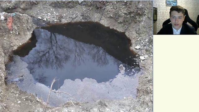 Проект Захарова Артёма, Оценка экологического состояния реки.