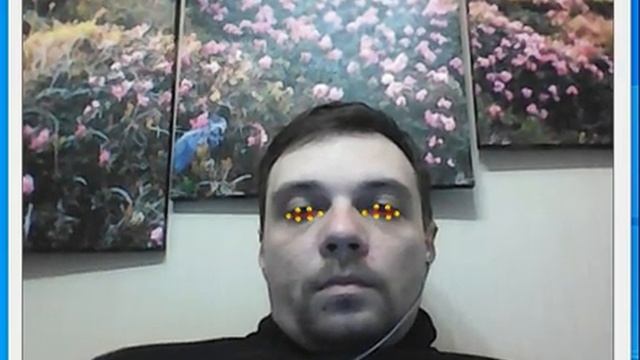 Driver Fatigue Detection System (Система контроля усталости водителя)