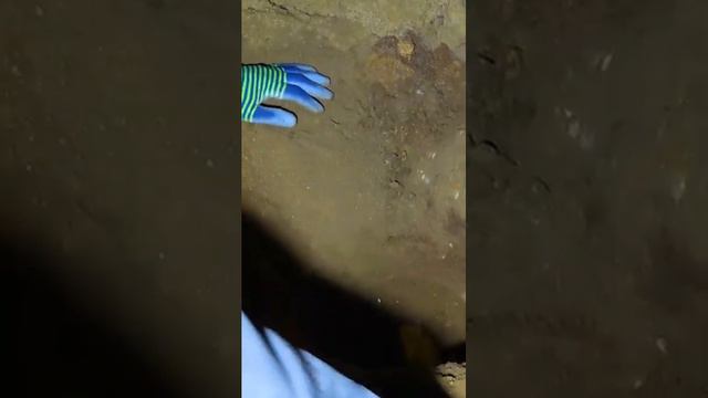 В ходе разведки сокровищ было обнаружено большое золотое яйцо под крышкой золотого алтаря.