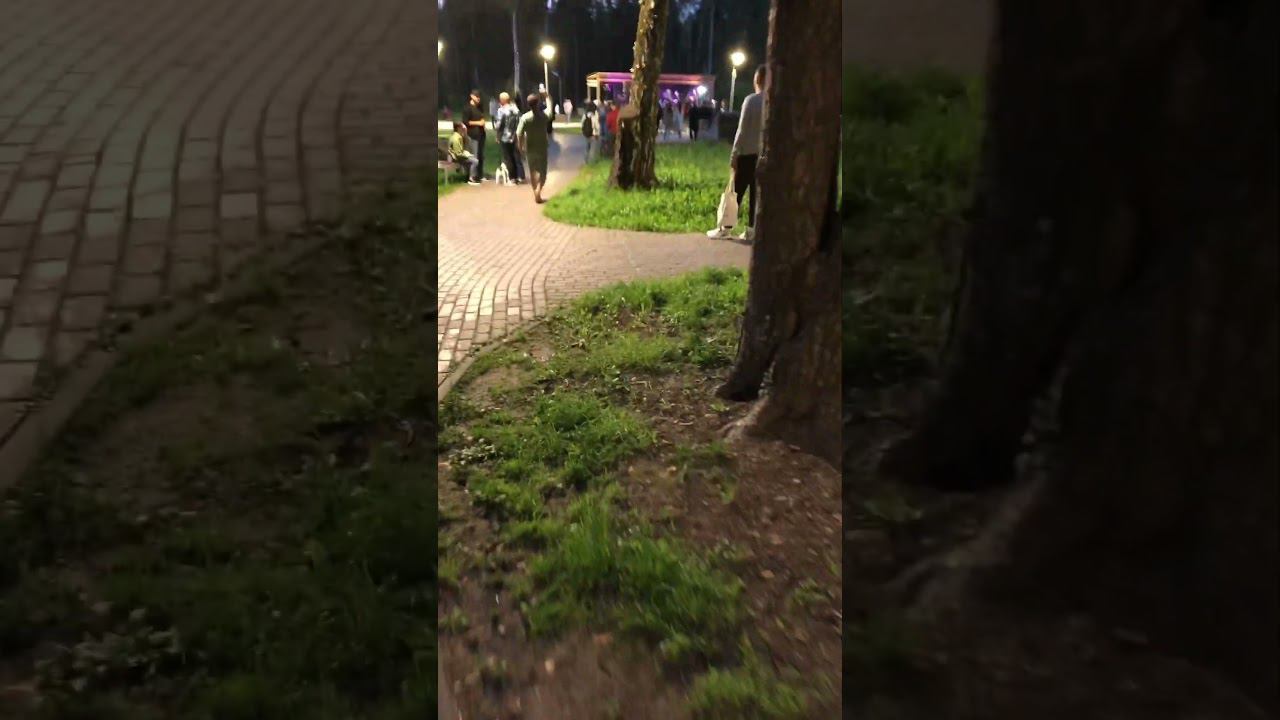 Миниконцерт