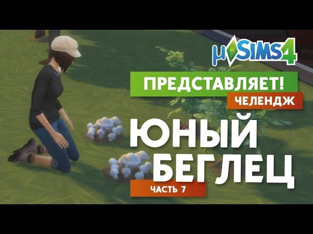 Юный беглец #7. Заботы-заботы-заботы.