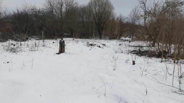 Разгребаем заброшенный участок, апрель 2022