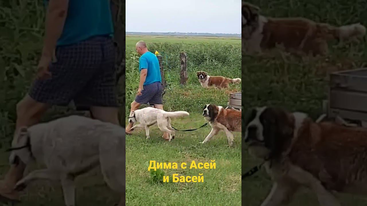 Дима с Любимый друг Ламбадой и Асей
