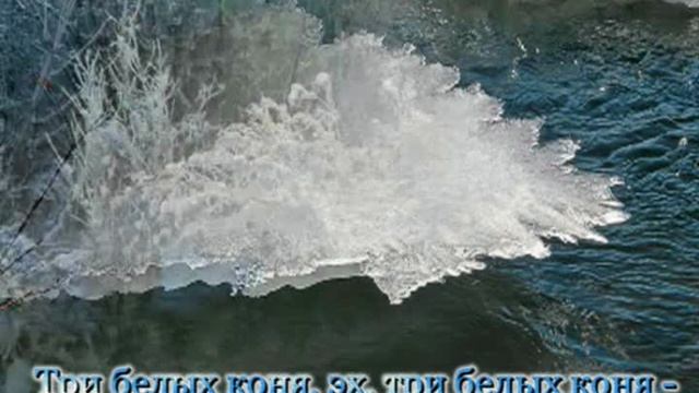 Три белых коня+