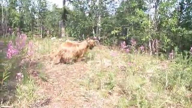 бриар Моника, 13 лет