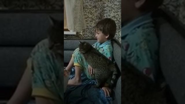 #shorts Мой ласковый и нежный кот. ?.mp4