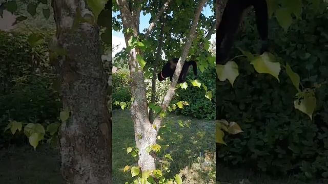 Я тучка, тучка, тучка...Смешное падение