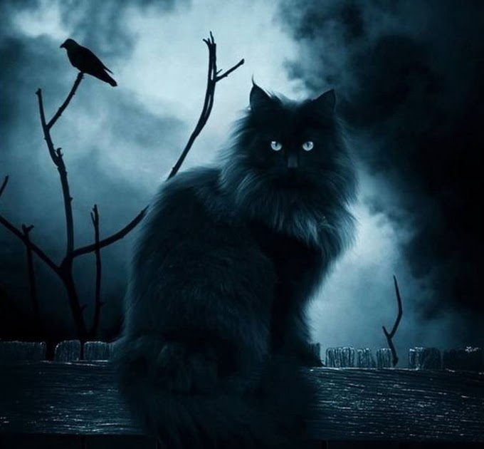 Надо быть внимательнее к мелочам...