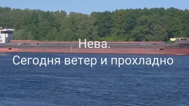 Нева сегодня