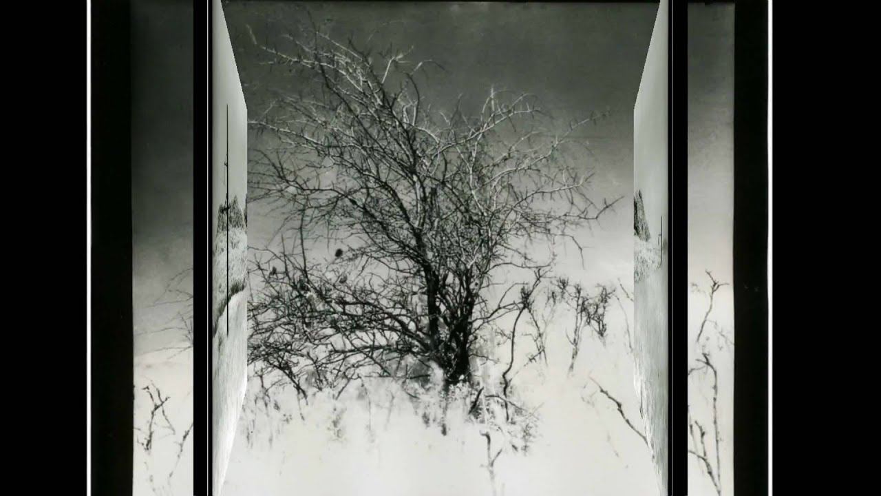Lith-print/ IR-photography