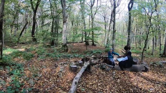 Бештау пять гор прогулка по кольцевой наши приключения Информация о Бештау_1080pFHR.mp4