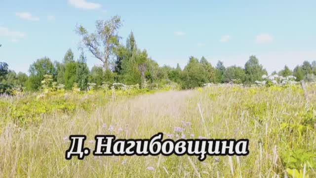 Деревня Нагибовщина.mp4