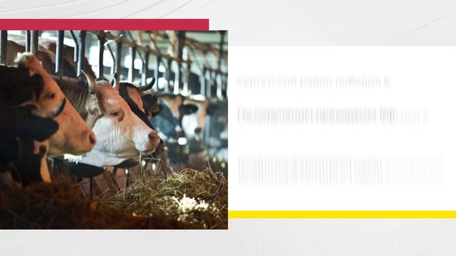 ПРОбизнес. Сургут. 05.07.2022