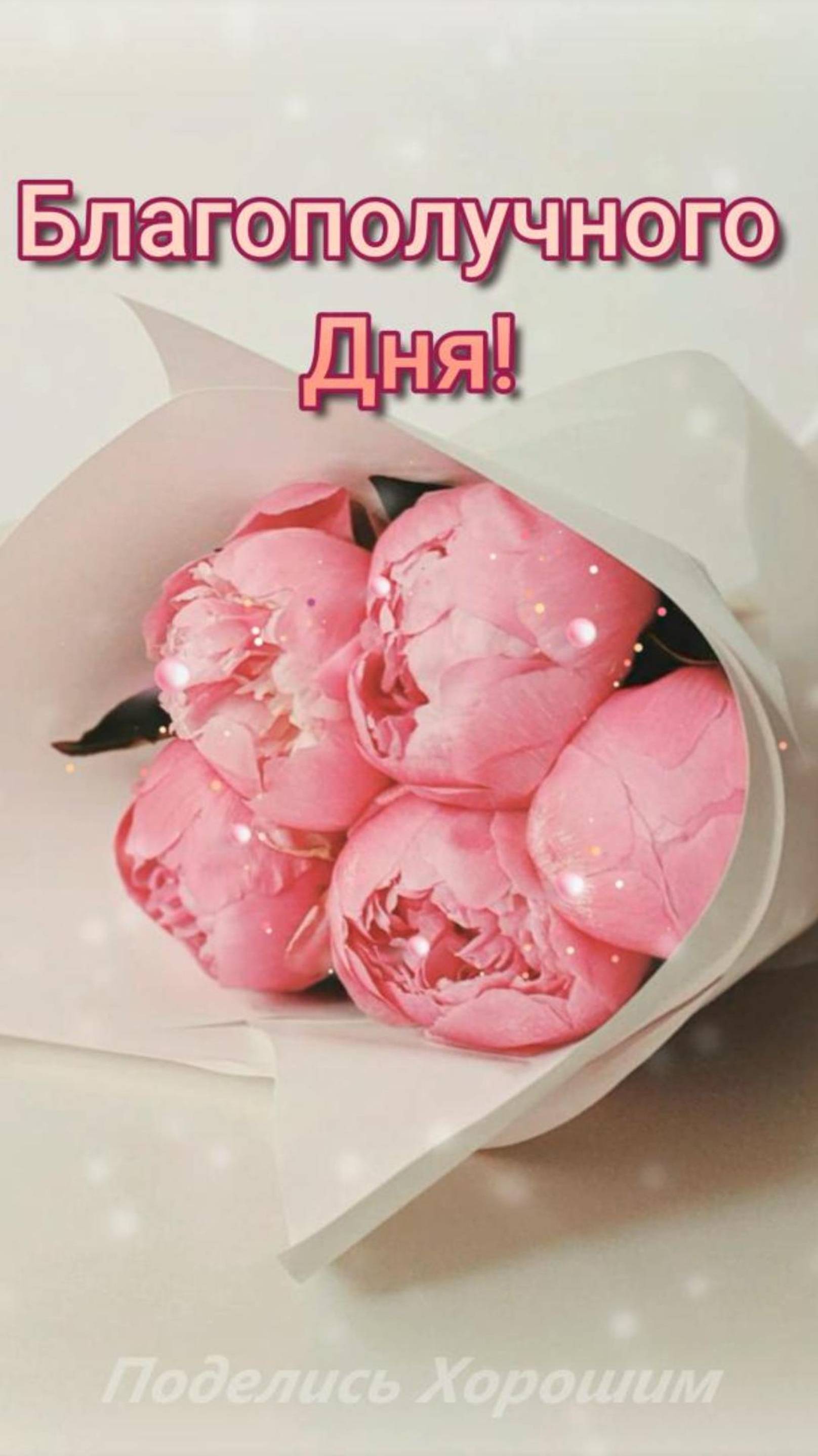 Благополучного Дня!