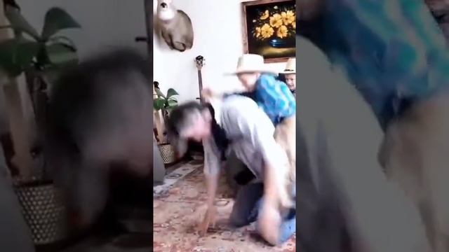 папа вам не мама