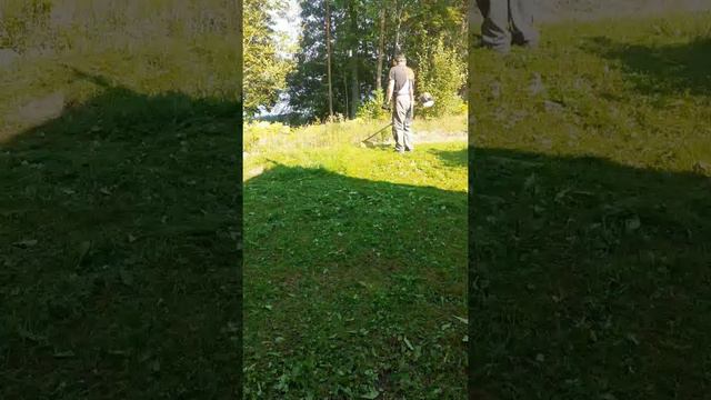 Неприятное окончание... Снова деревенские зайцы.