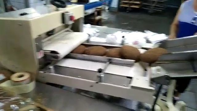 Хлеборезка Лавина с непрерывной подачей, доступная цена +7-919-382-16-01, euromach.m@mail.ru