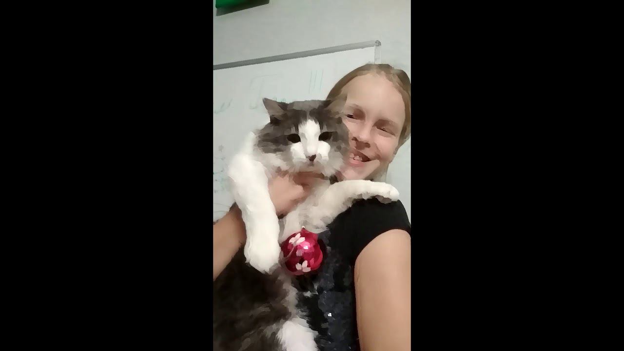 Красников Павел медиатон 3 этап