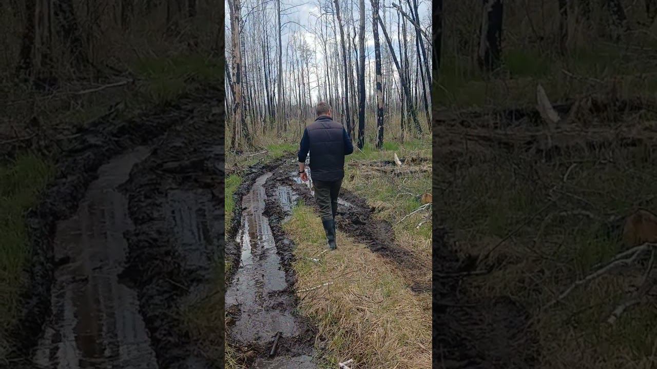 Лужа неглубокая - утке по пояс)) #лужа #грязь #4x4 #4х4 #бездорожье