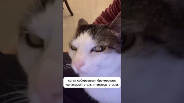 КАК ЗАБРОНИРОВАТЬ ХОРОШИЙ ОТЕЛЬ?🚩Сохраняйте памятку. #светагранат #путешествия #лайфхаки