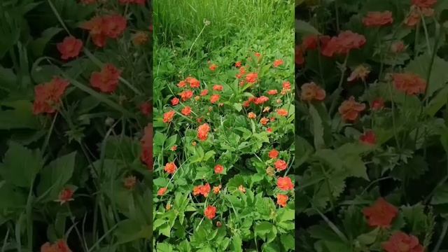 Это важно для тебя!