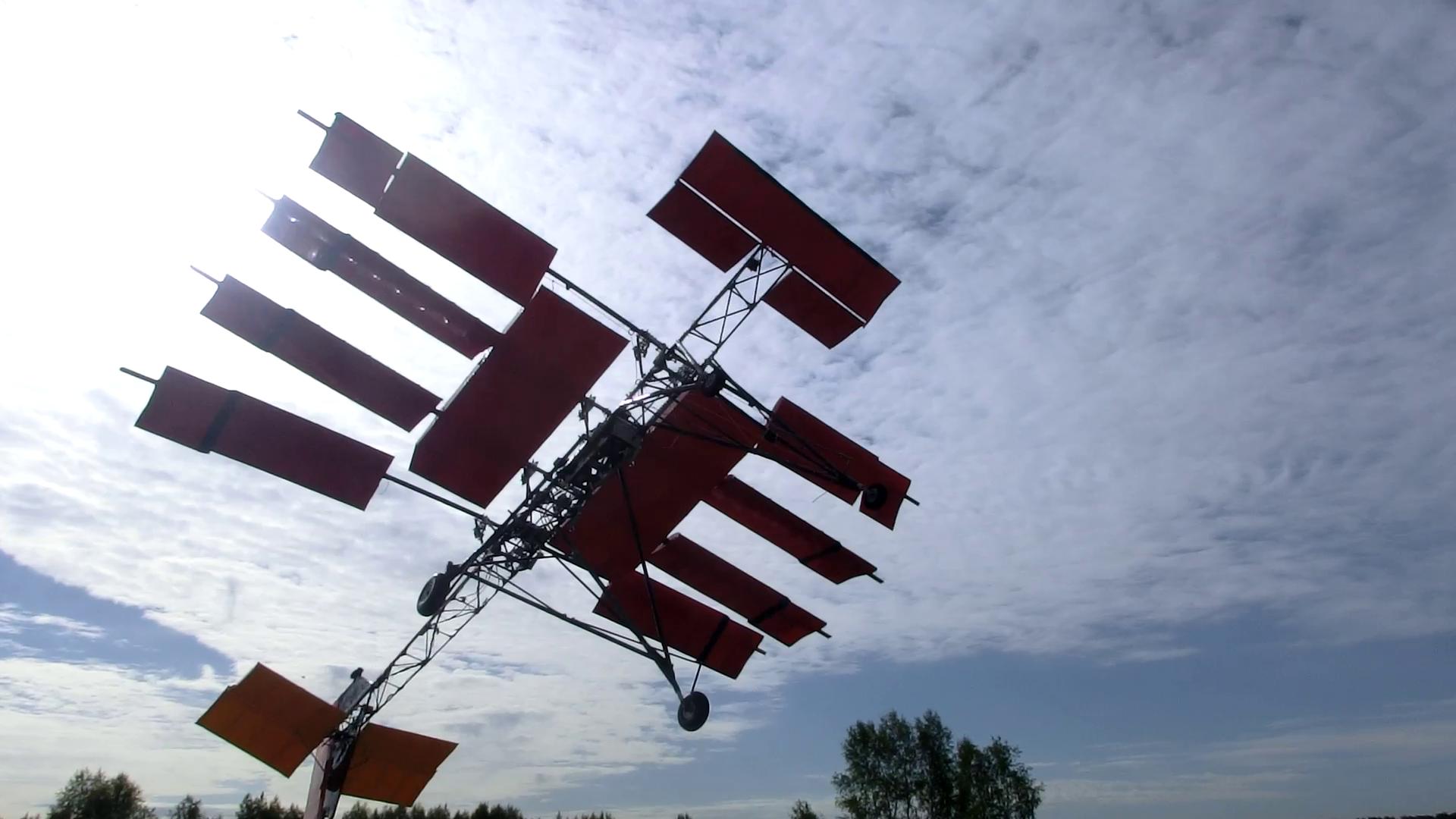 Устройство стрекозоидов, две модели.