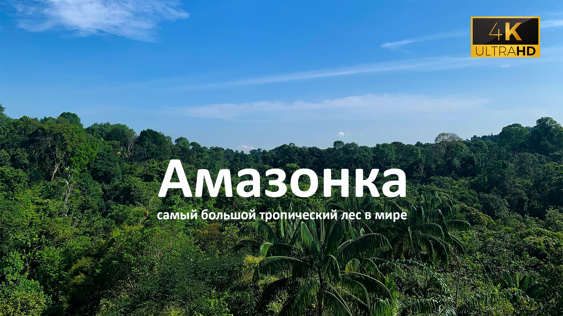 Amazon — самый большой тропический лес в мире от ТОПЛЕС