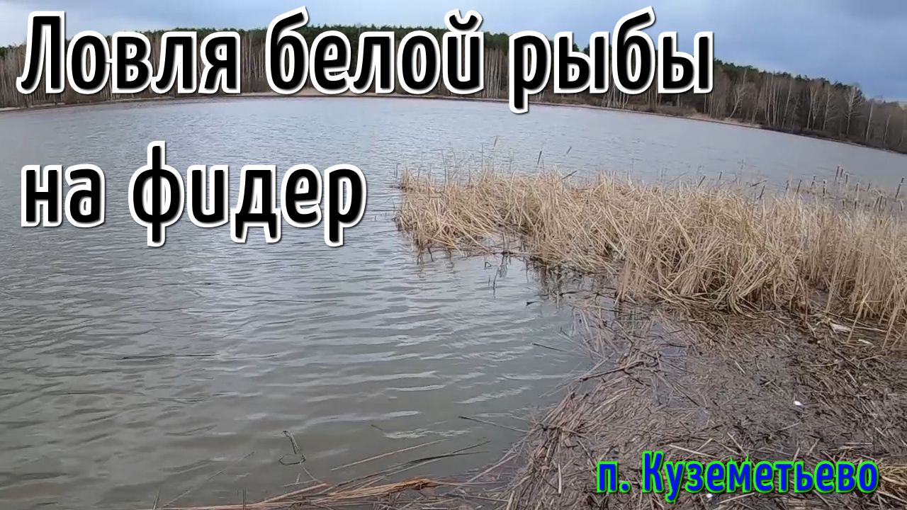 Рыбалка на фидер. Как мирные рыбы издевались над спиннингистом))