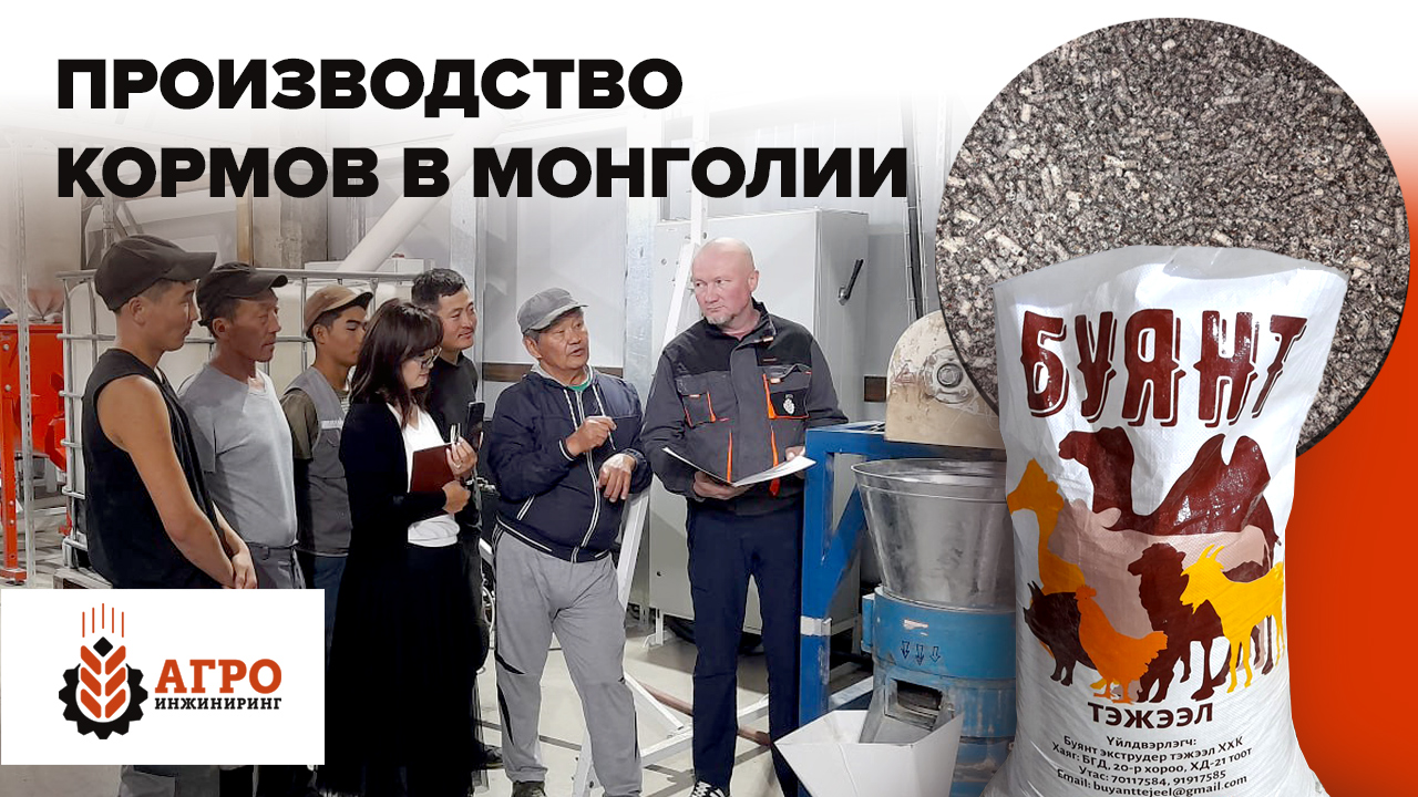 Линия производства экструдированных и гранулированных кормов. Запуск в Монголии.