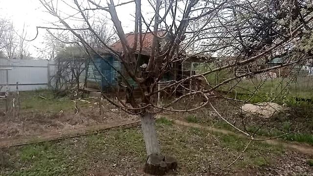 Ломаю старый парник