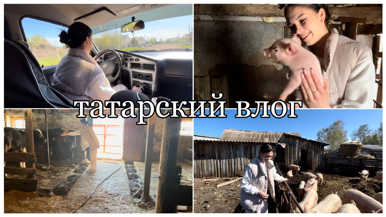 ТАТАРСКИЙ ВЛОГ | Натурально деревенский контент
