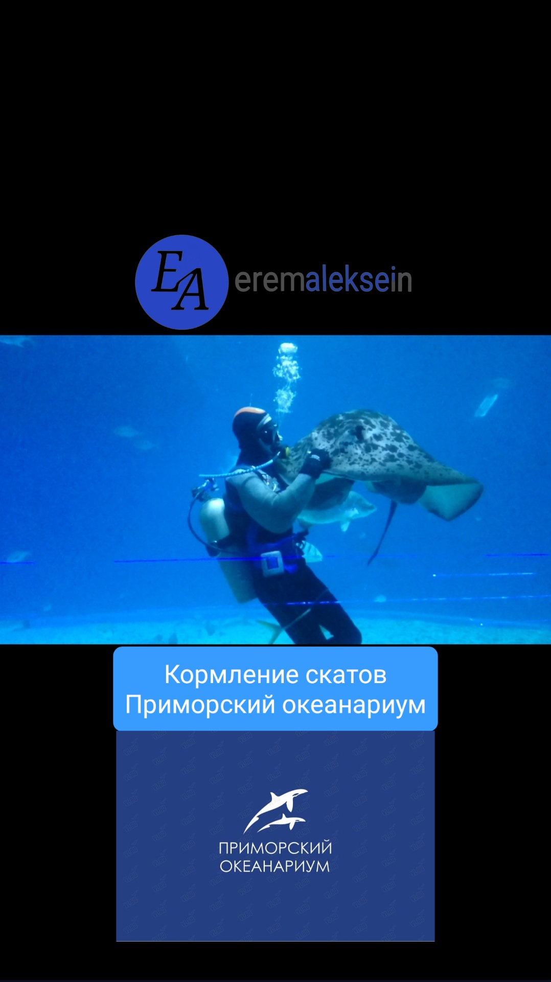 Кормление скатов / Животные