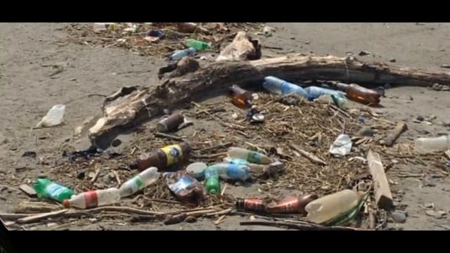 Акция «Чистый берег»