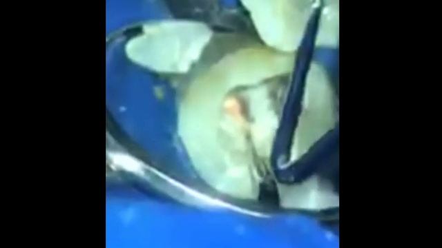 2020_06_05_Ступеньки и обхождение.