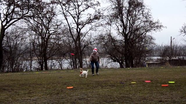 Фризби Вебстайл 2015  Валентина и Луша.mp4