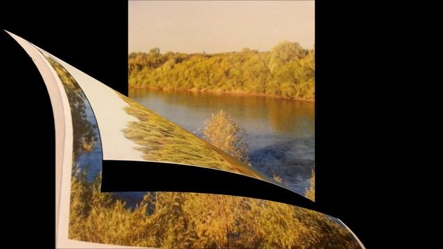 Стихи о жизни   Прогулка в лесу
Татьяна Логиновская