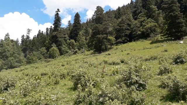 Восхитительный Архыз-вынужденная остановка