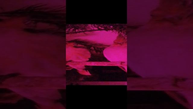 Иволга плюс корелла))