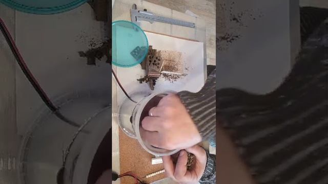 Бусины из кости и дуба (морта) подготовка, предварительная галтовка.