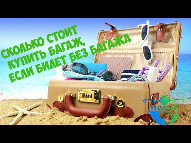 Сколько стоит багаж в самолете если билет без багажа?! AirBaltic #Авиамания