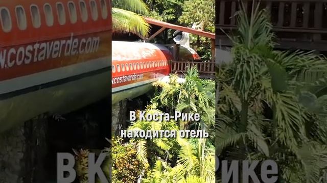 ОТЕЛИ САМОЛЁТЫ. Самые удивительные отели в мире. Подборки необычных отелей #Shorts