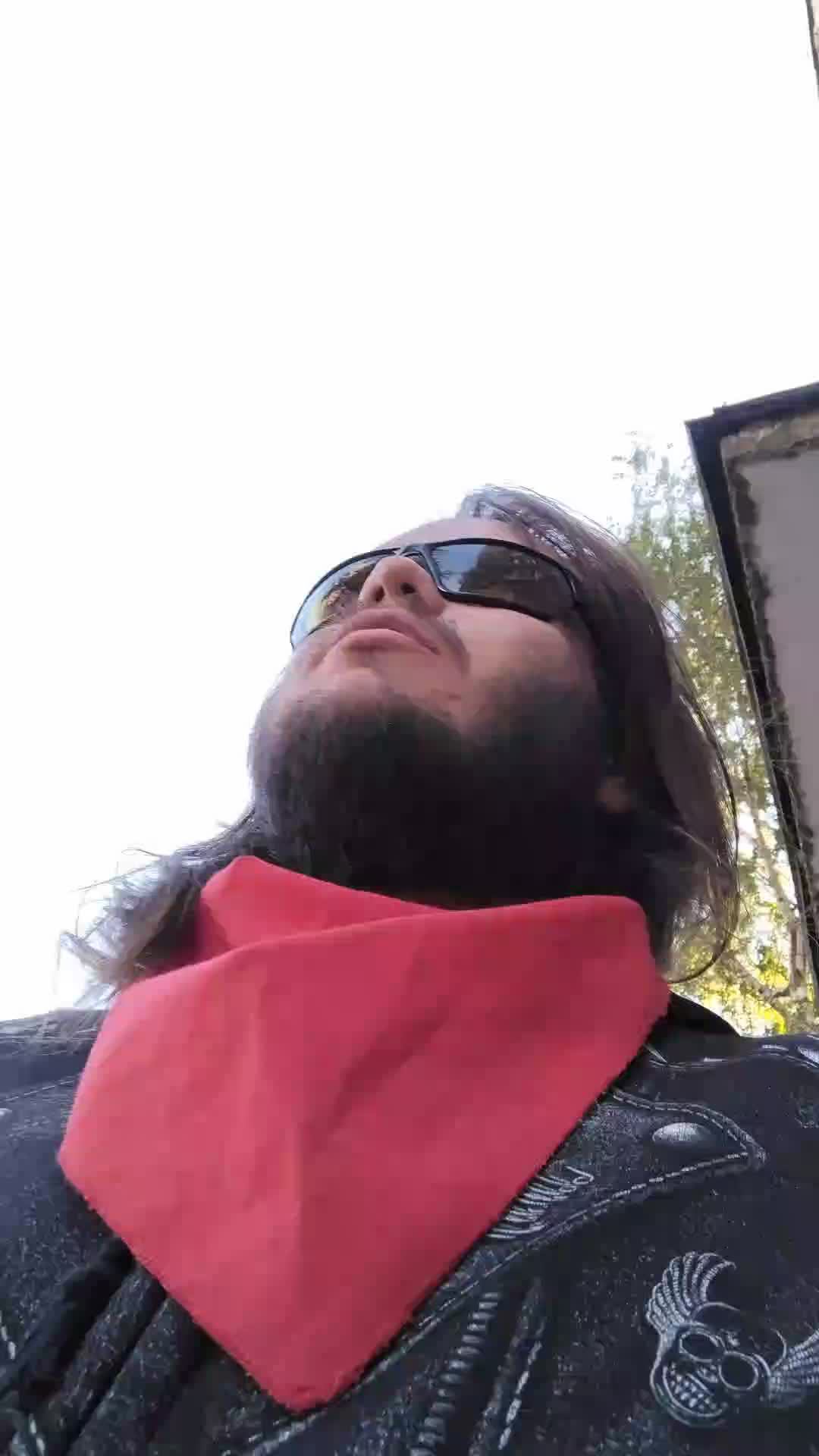 Прогулки с собаками, 5-сен-2024, 3