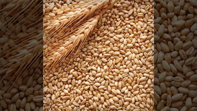 Клип на песню из к/ф Сваты Ой блин батон