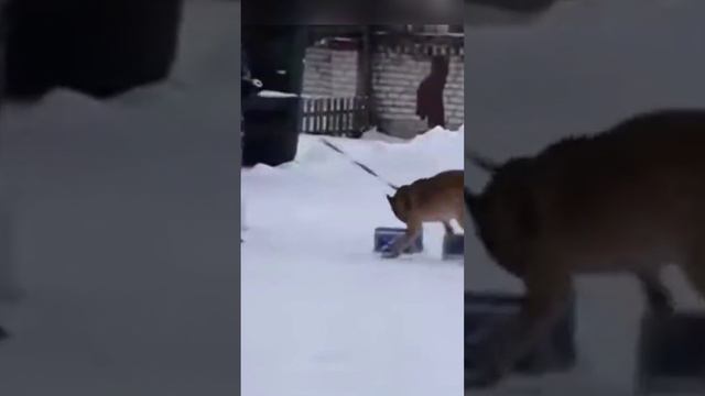 Тюрьма РФ Посылка от подельника