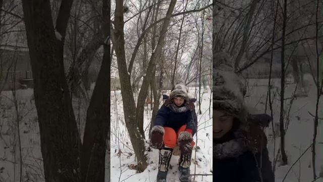 Зимняя прогулка с козами